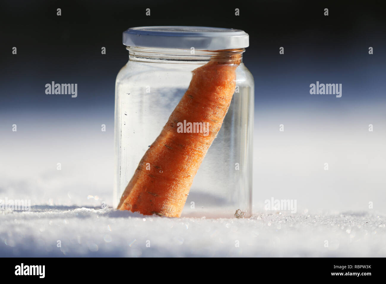 When the sun comes out snowman is melting in the garten. The snowman is ...