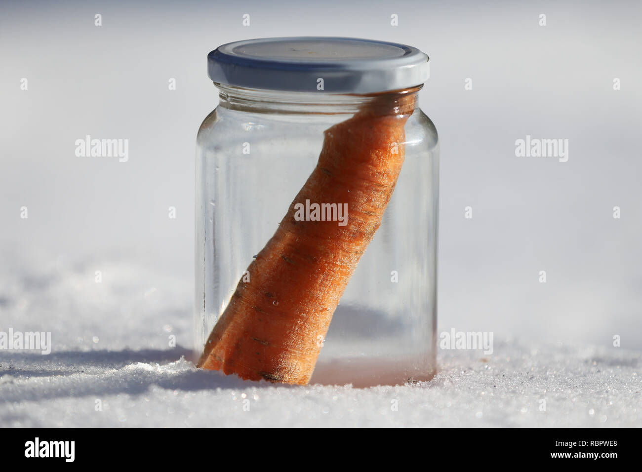 When the sun comes out snowman is melting in the garten. The snowman is ...