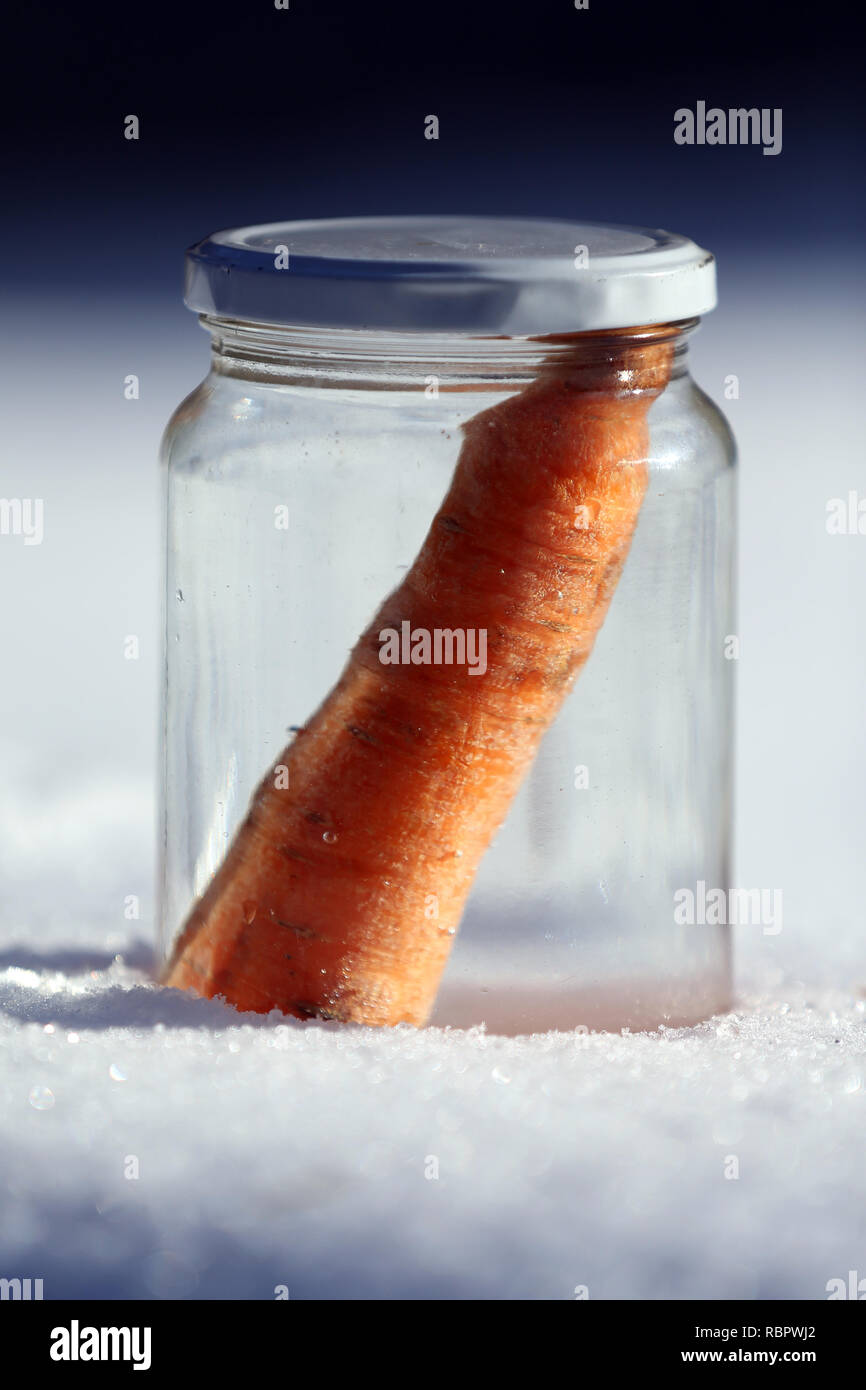 When the sun comes out snowman is melting in the garten. The snowman is ...