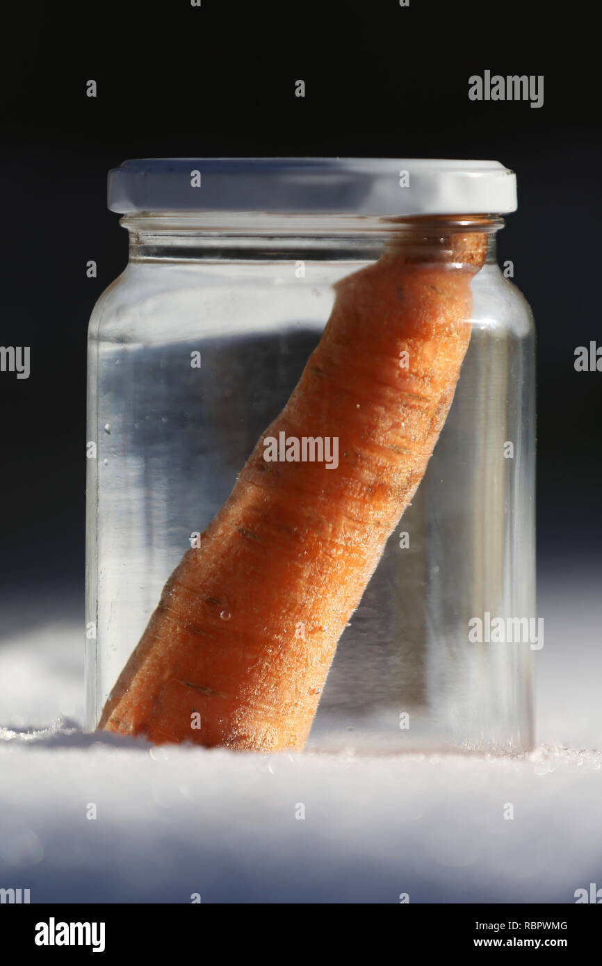 When the sun comes out snowman is melting in the garten. The snowman is ...