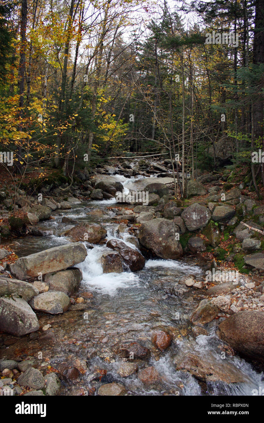 Rushing stream over rocks and boulders in a forest in Crawford Notch ...