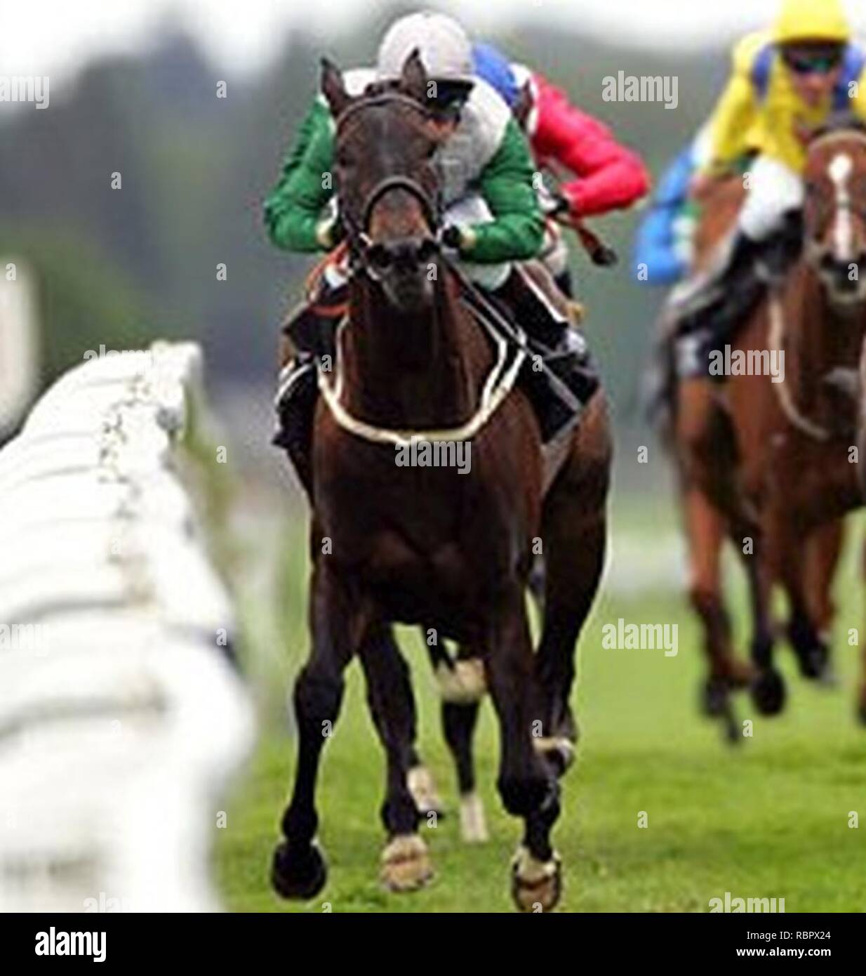 Winner of the 1000 guineas hi-res stock photography and images - Alamy
