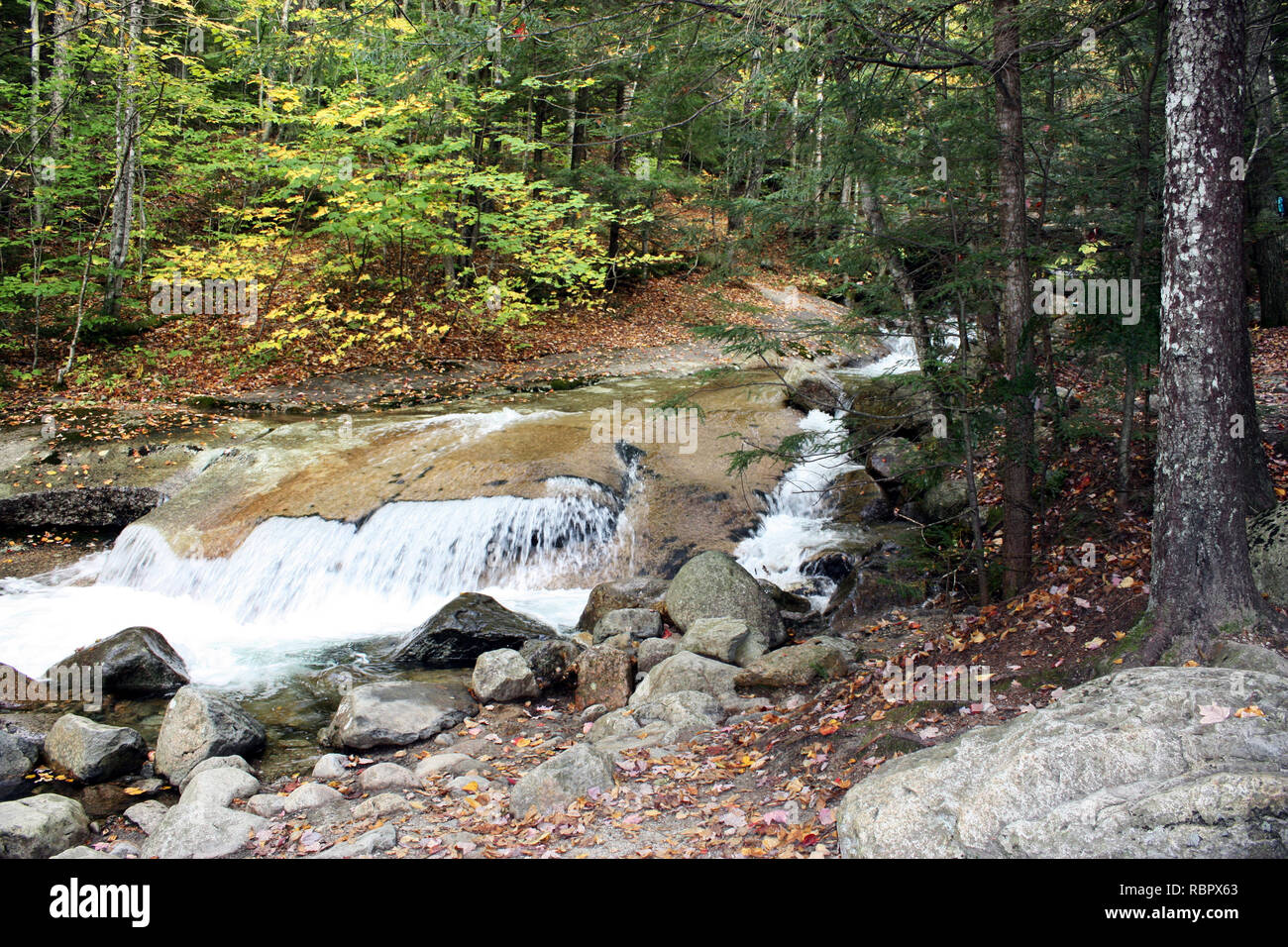 Flowing mountain stream nestled in a forest with fall foliage at the ...