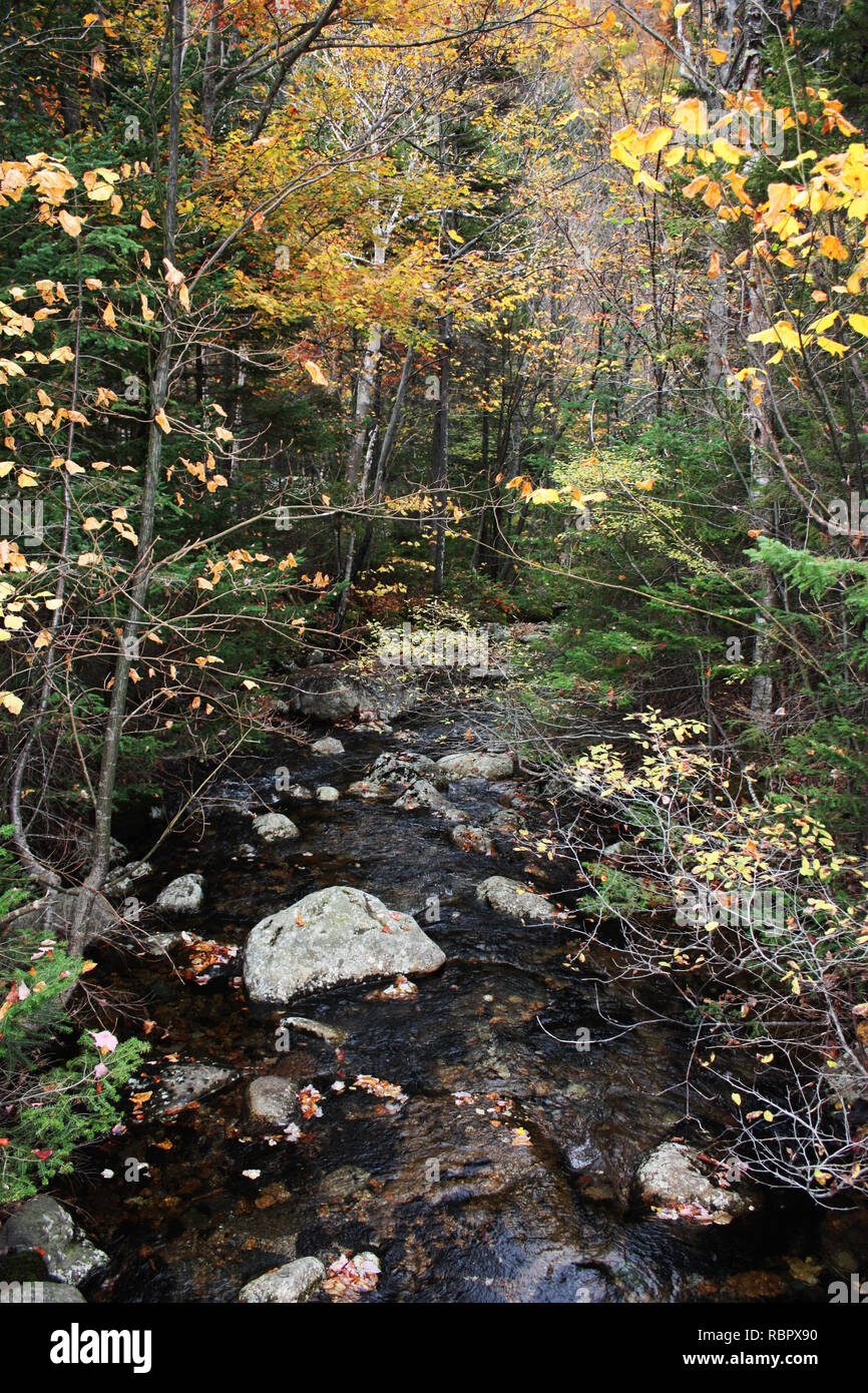 Gently flowing stream in the White Mountains of Woodstock, New ...
