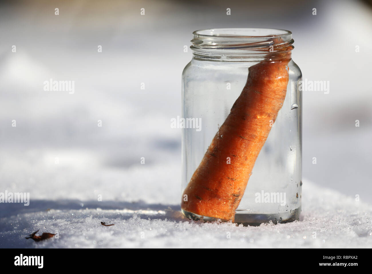 When the sun comes out snowman is melting in the garten. The snowman is ...