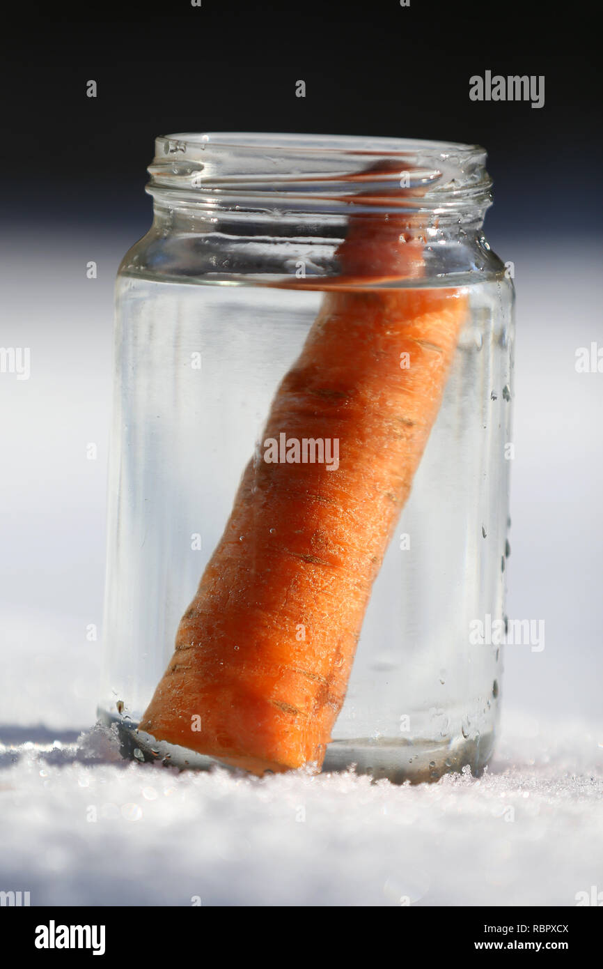 When the sun comes out snowman is melting in the garten. The snowman is ...