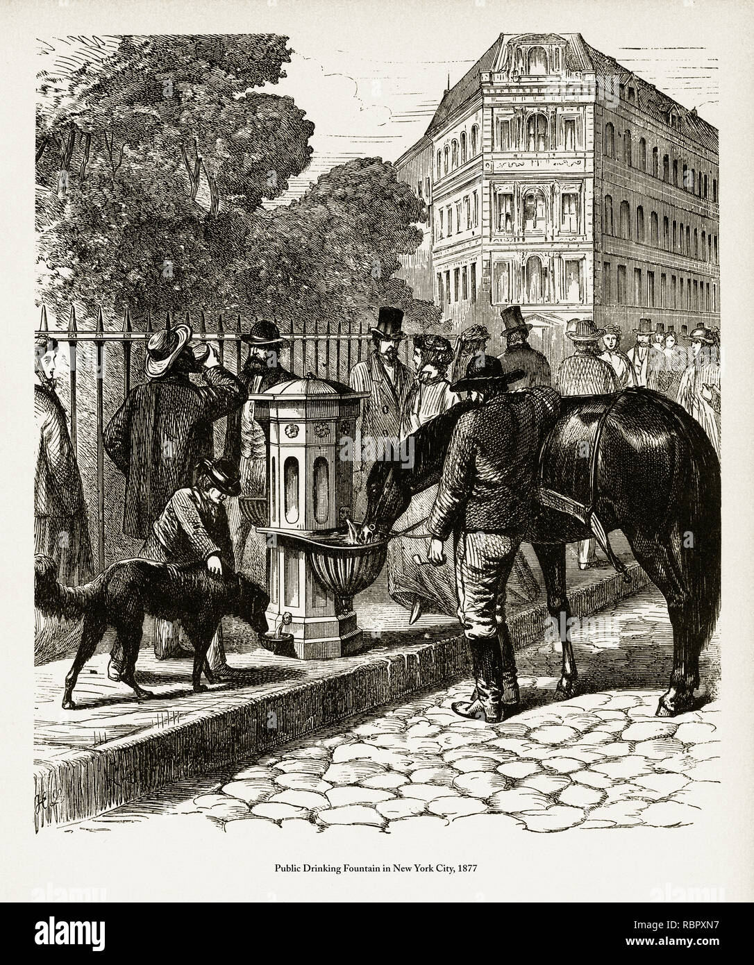 Victorian public drinking fountain hi-res stock photography and images ...