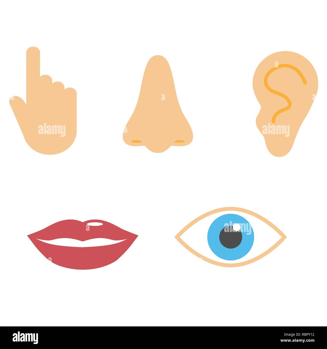 Five Senses Illustration High Resolution Stock Photography and Images ...