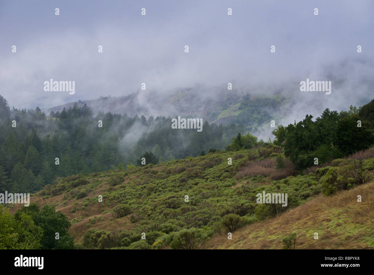 Dark rolling hills trees hi-res stock photography and images - Alamy