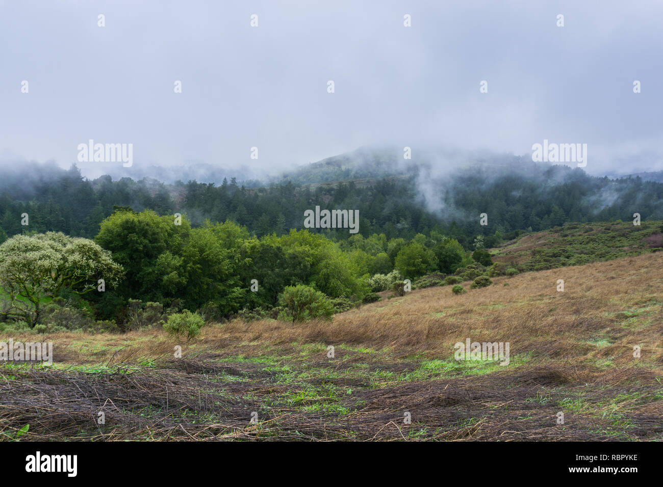 Fog rolling over mountains hi-res stock photography and images - Alamy