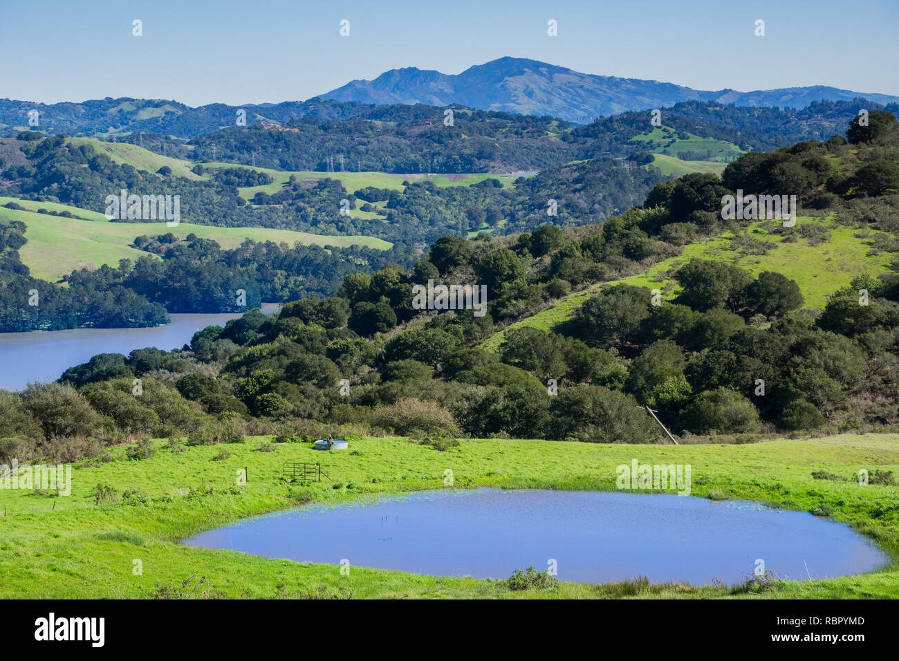 Hills and meadows in Wildcat Canyon Regional Park; San Pablo Reservoir ...