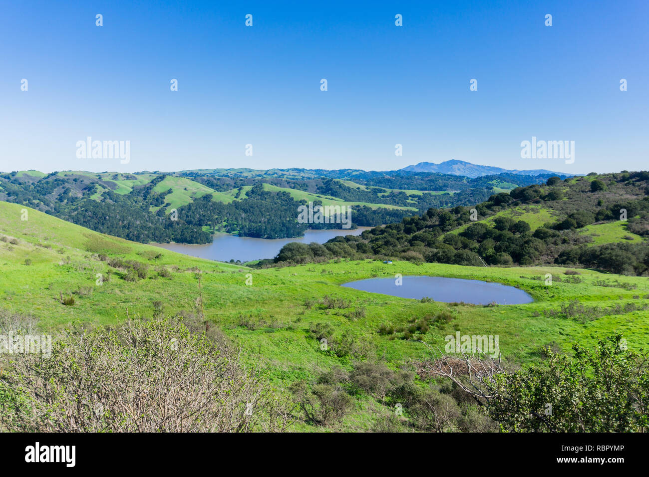 Hills and meadows in Wildcat Canyon Regional Park; San Pablo Reservoir ...