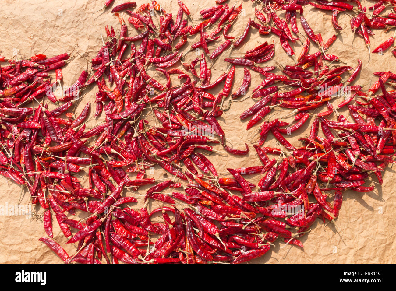 Spices drying in the sun Stock Photo - Alamy