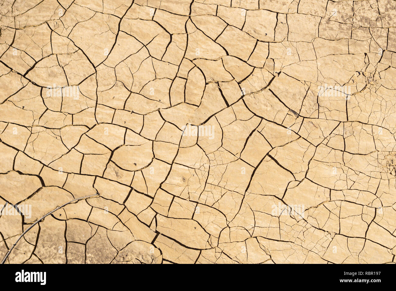 Dry cracked ground, California Stock Photo - Alamy