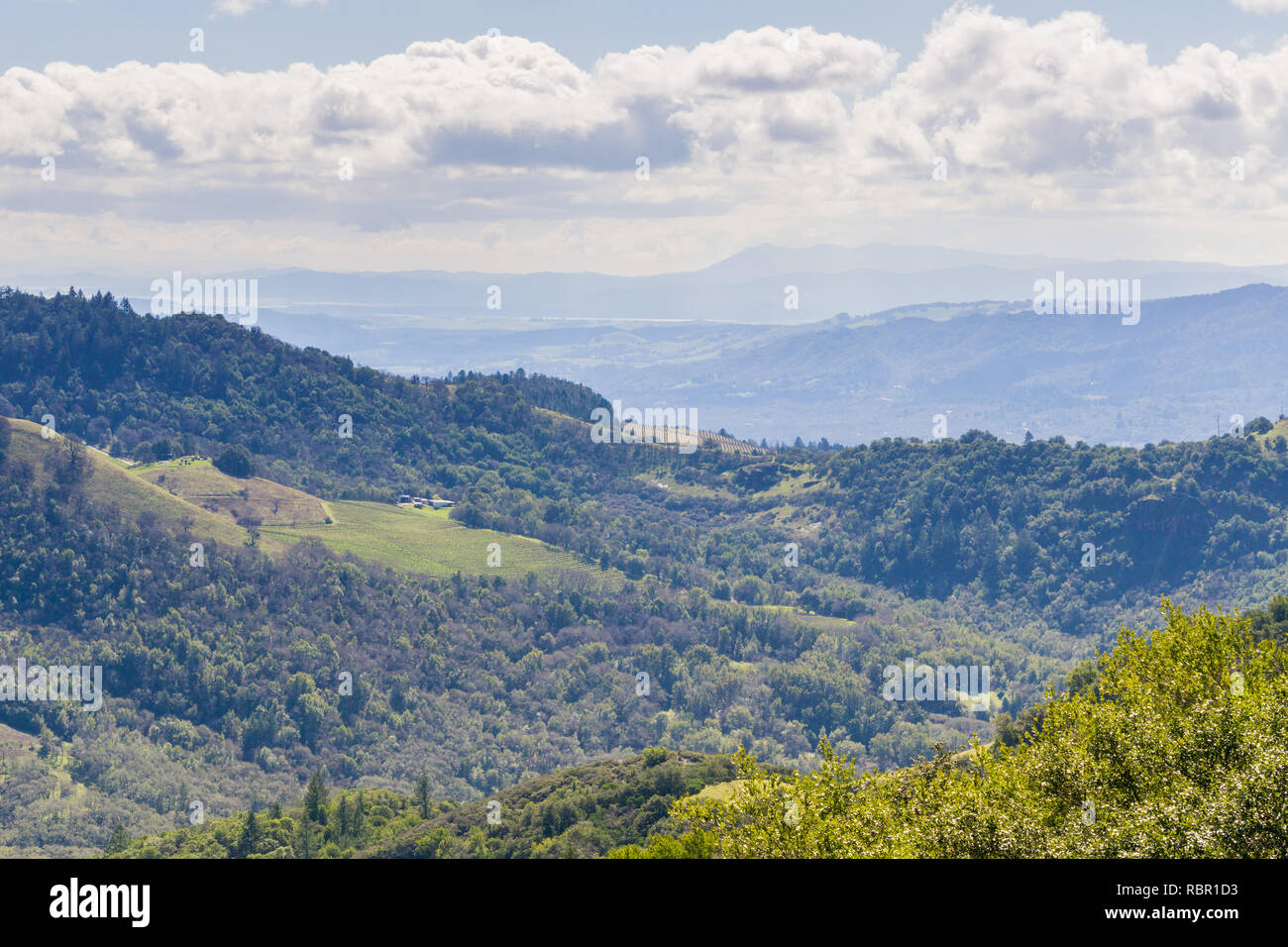 Sonoma county california vineyards hi-res stock photography and images ...