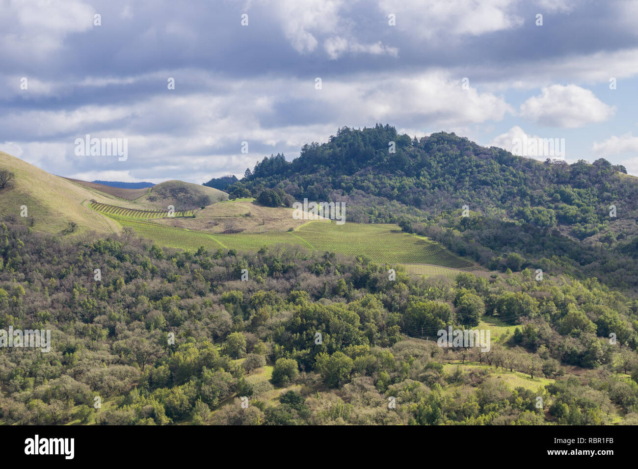 Sonoma county california vineyards hi-res stock photography and images ...