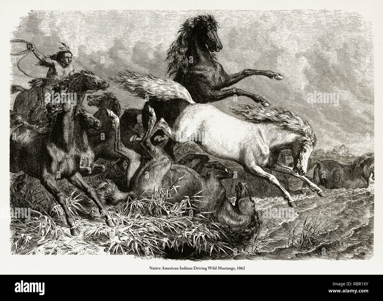 Indians Driving Wild Mustangs, Native American Engraving, 1862 Stock ...