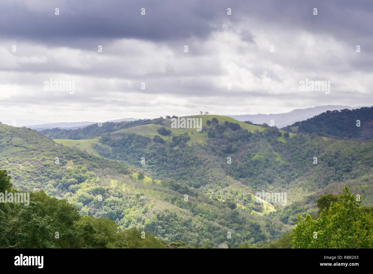 Hills and valleys in Rancho Canada del Oro Open Space Preserve on a ...