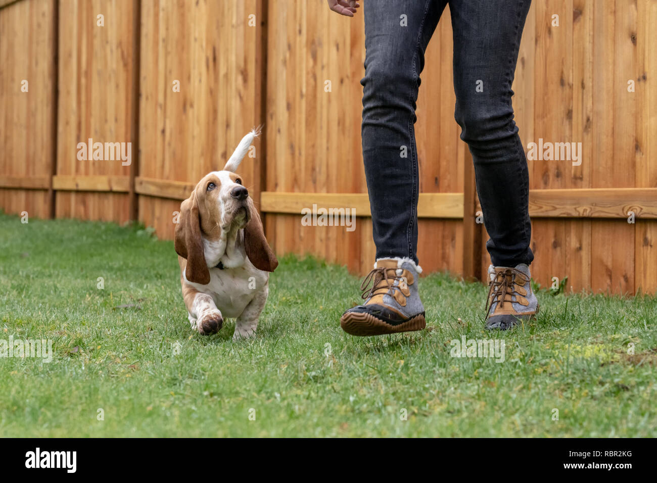 Heeling hi-res stock photography and images - Alamy