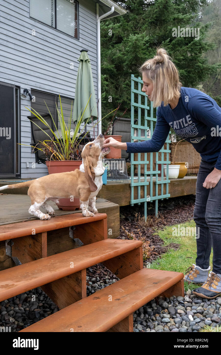 Woman giving treat to her dog hi-res stock photography and images - Alamy
