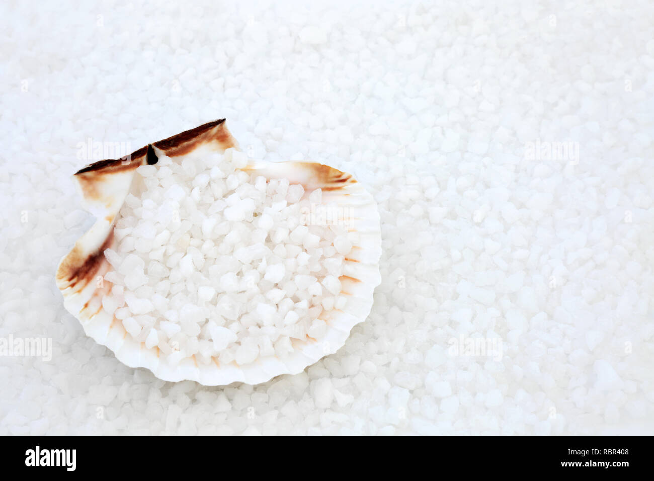Course sea salt in a scallop seashell forming a background. Has a large ...