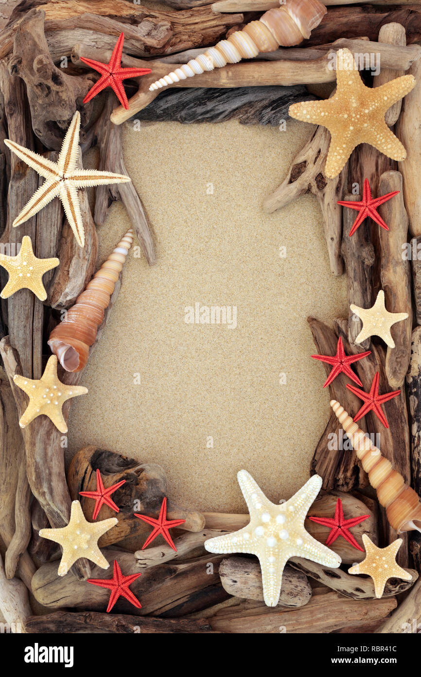 Driftwood and seashell abstract background border on beach sand with ...