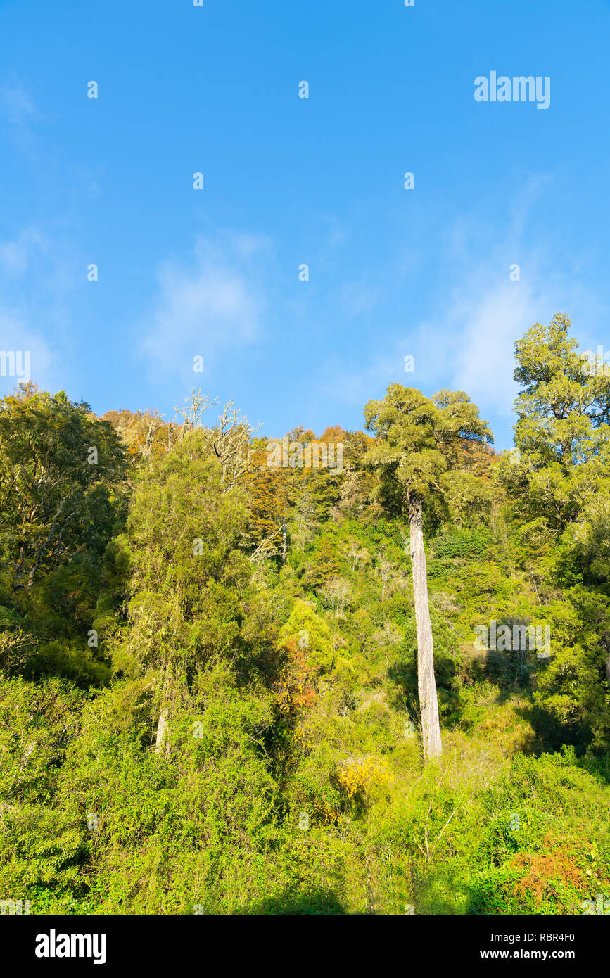 Matakitaki road hi-res stock photography and images - Alamy