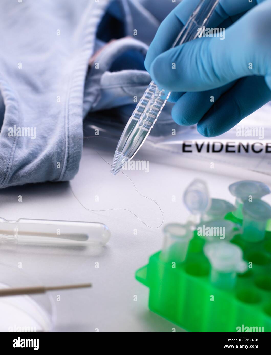 Forensic scientist taking a hair specimen for DNA (deoxyribonucleic ...