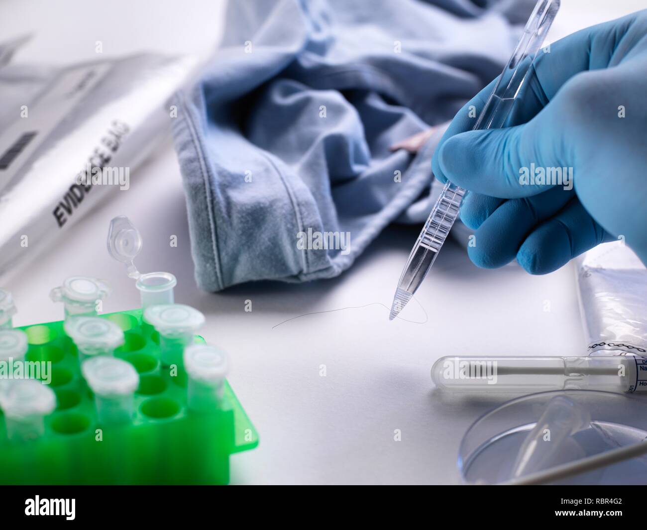 Forensic hair bag hi-res stock photography and images - Alamy