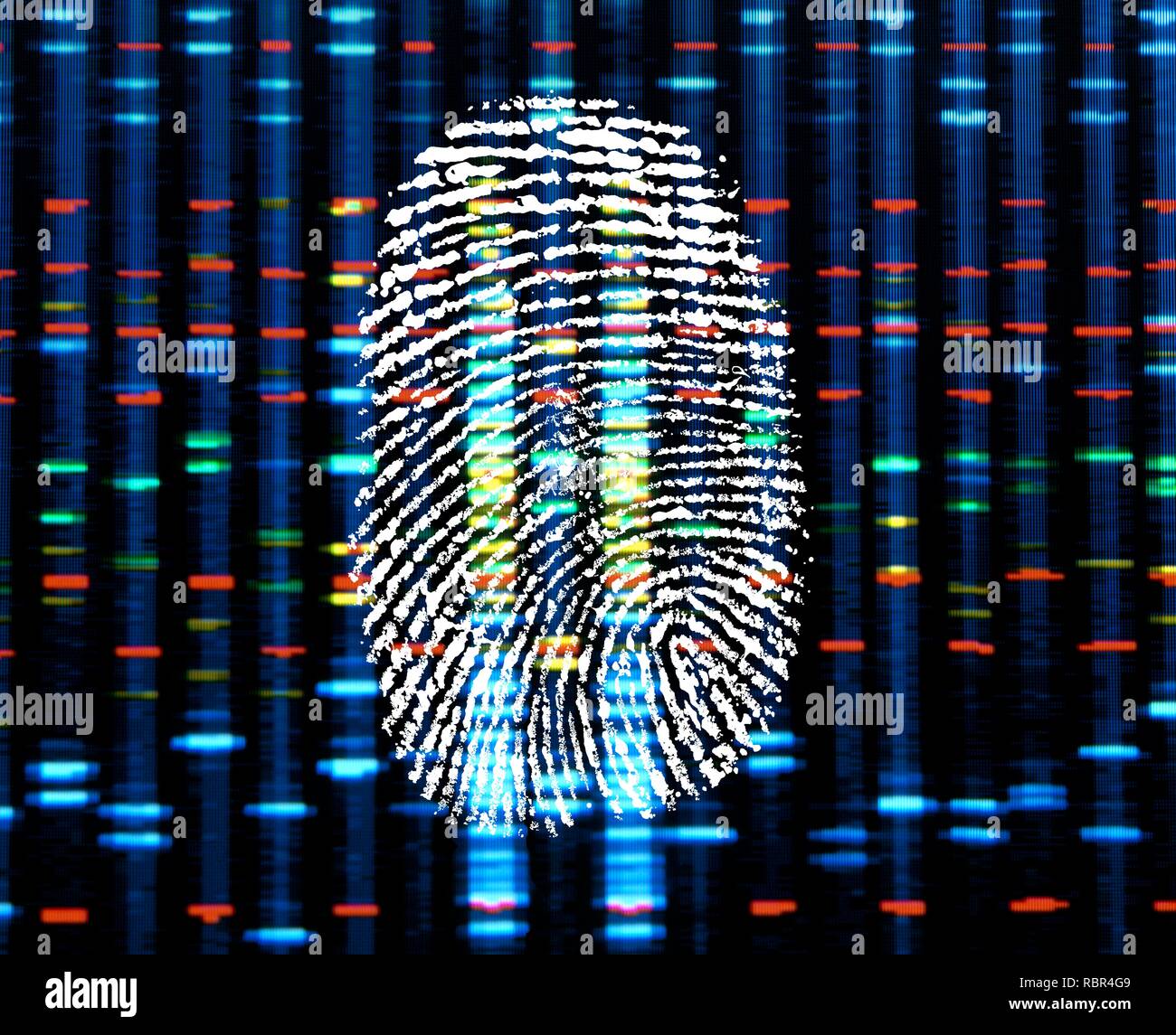 A fingerprint with a DNA (deoxyribonucleic acid) profile illustrating ...