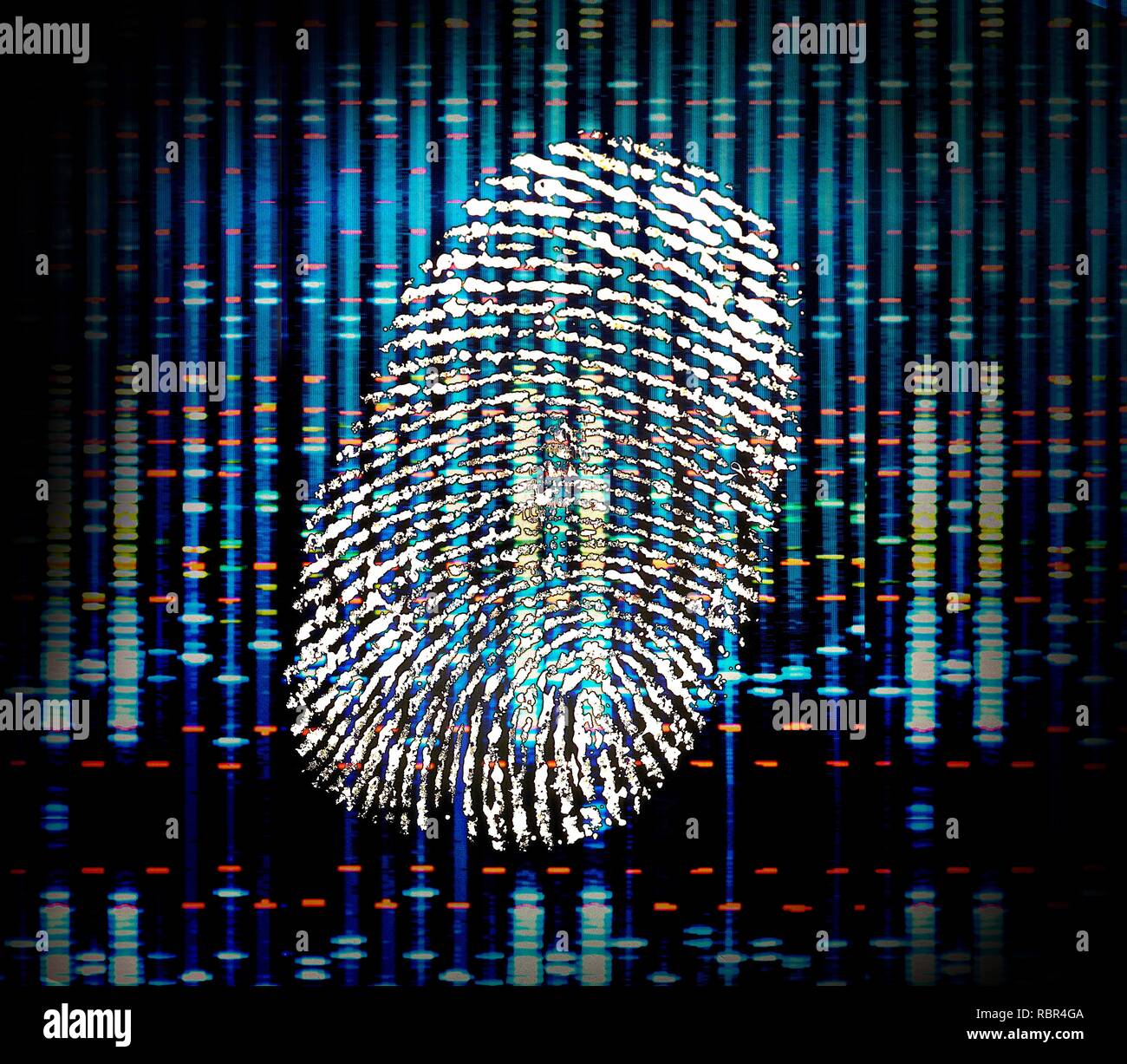 A fingerprint with a DNA (deoxyribonucleic acid) profile illustrating ...