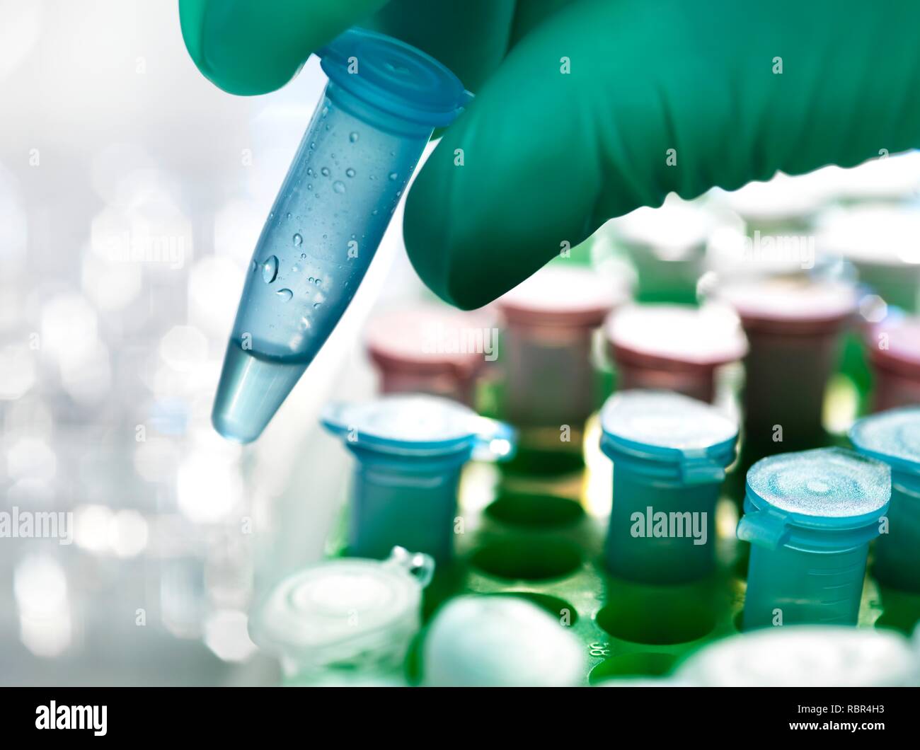 Scientist holding a eppendorf tube containing a biological sample Stock ...