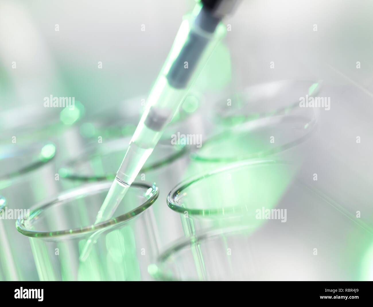 Scientist pipetting a sample into a row of test tubes during an ...
