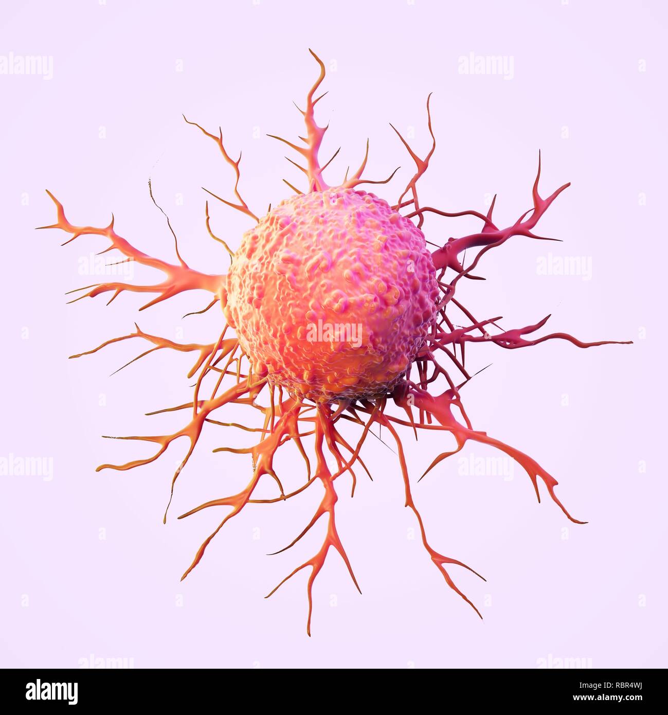 Cancer Cell Diagram