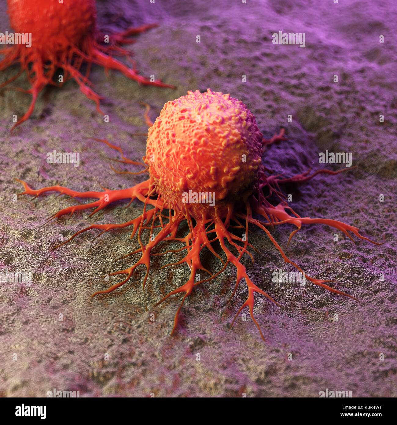 Illustration of a cancer cell Stock Photo - Alamy