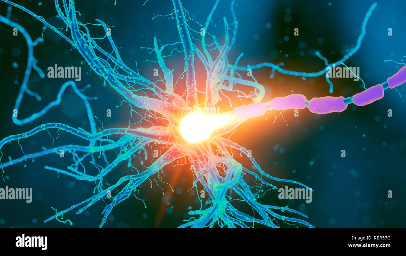 Illustration of a nerve cell Stock Photo - Alamy