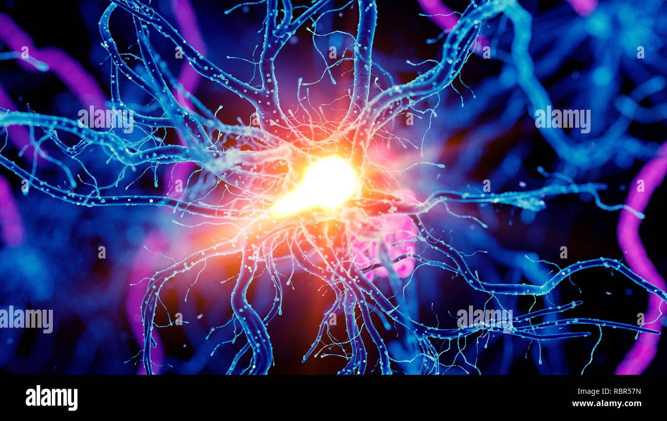 Illustration of a nerve cell Stock Photo - Alamy