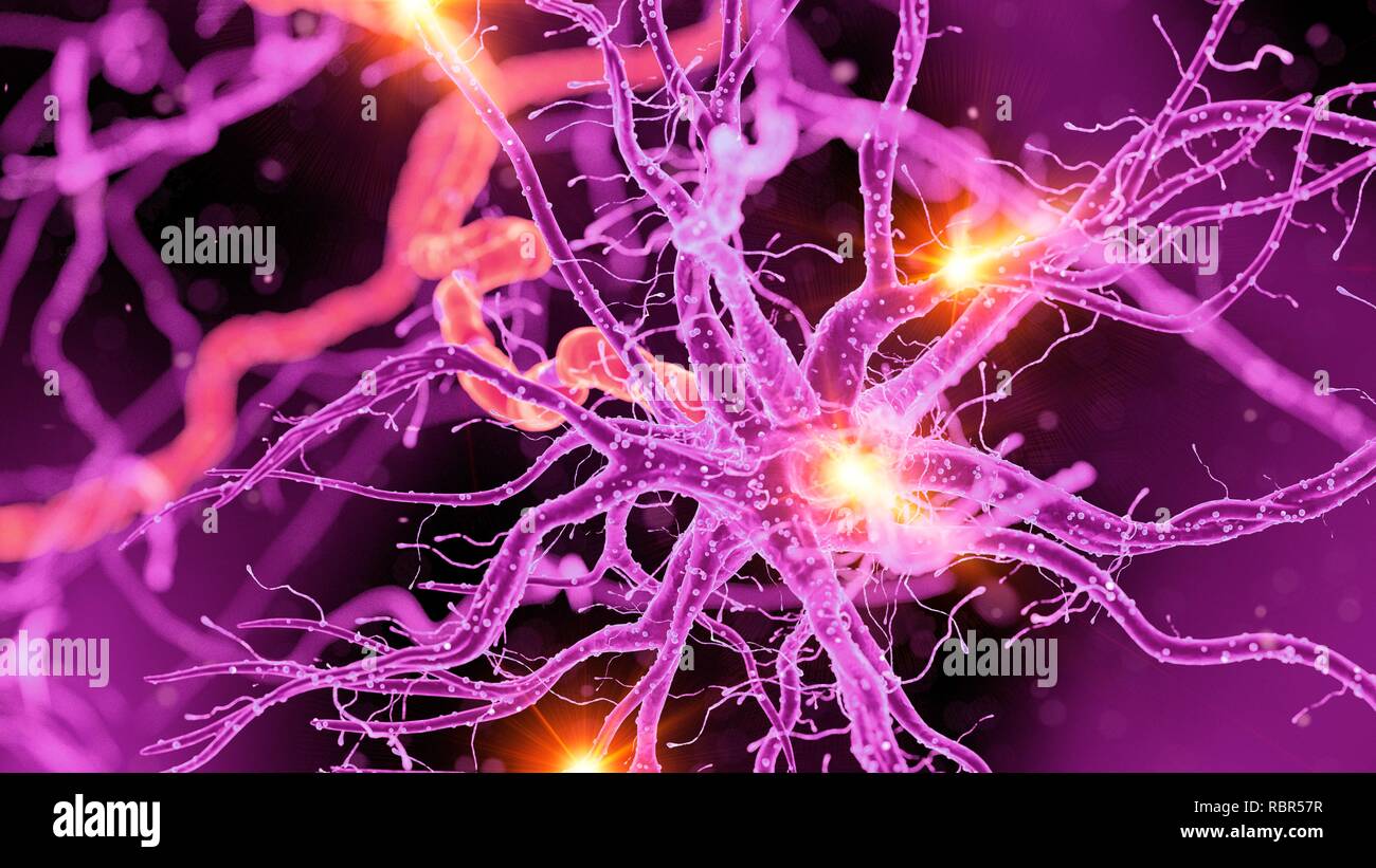 Illustration of a nerve cell Stock Photo - Alamy