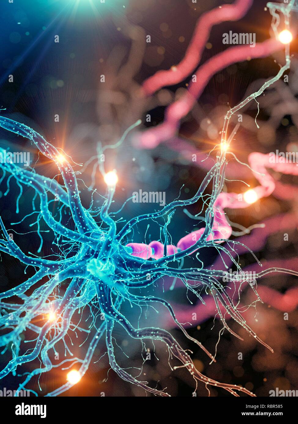 Illustration of an active human nerve cell Stock Photo - Alamy