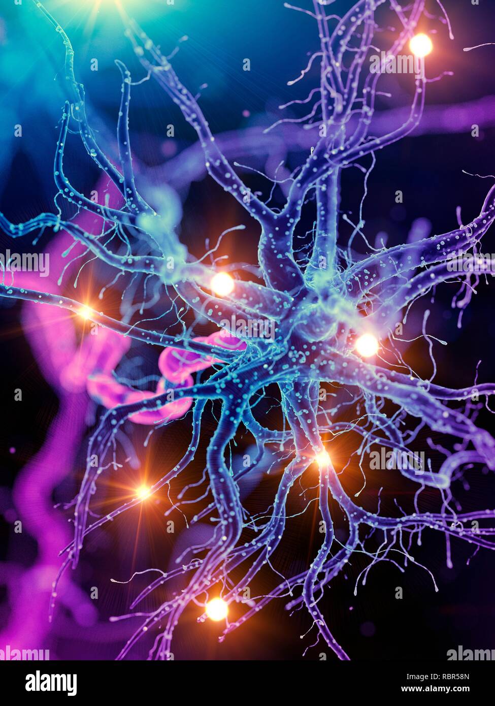 Illustration of an active human nerve cell Stock Photo - Alamy