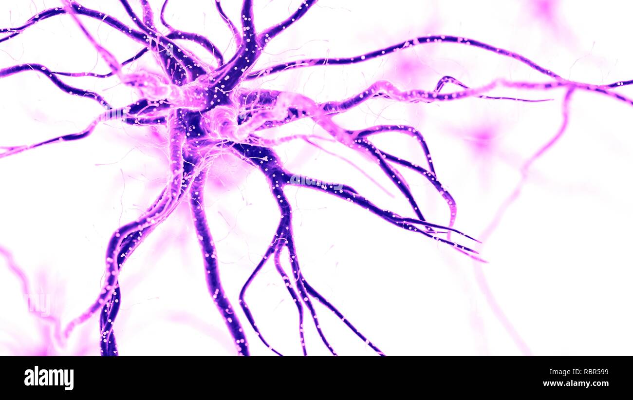 Illustration of a human nerve cell Stock Photo - Alamy