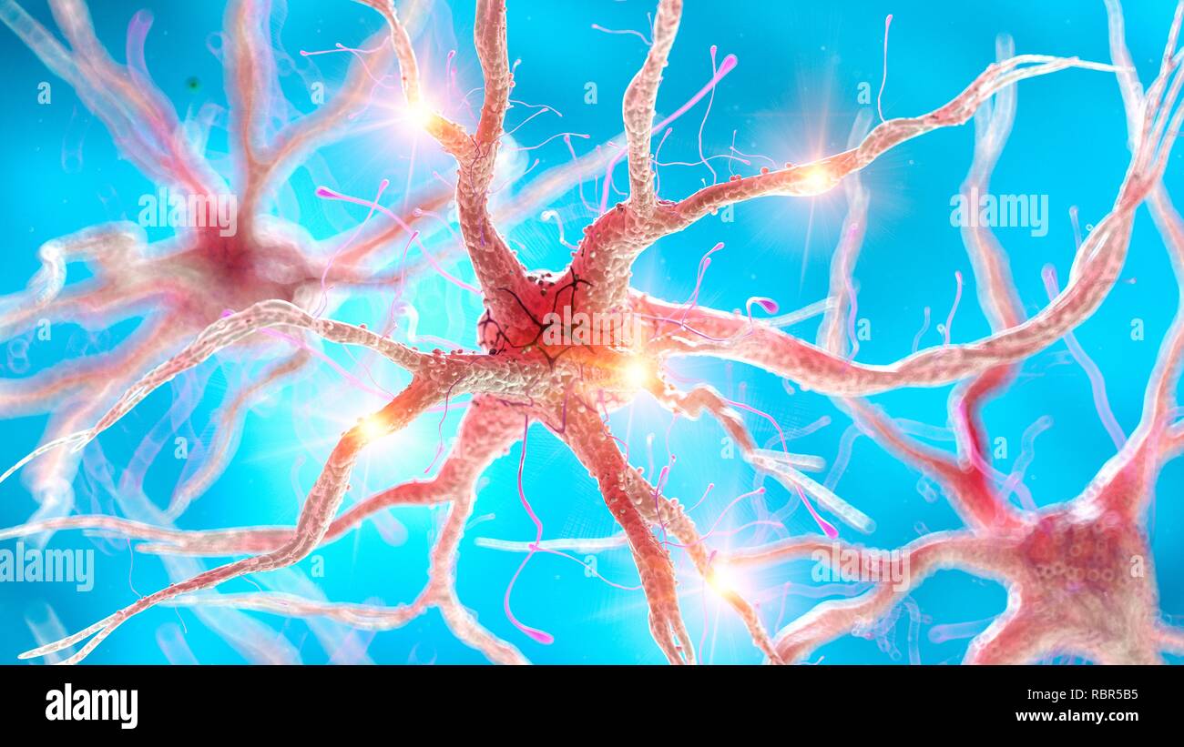 Illustration of an active human nerve cell Stock Photo - Alamy