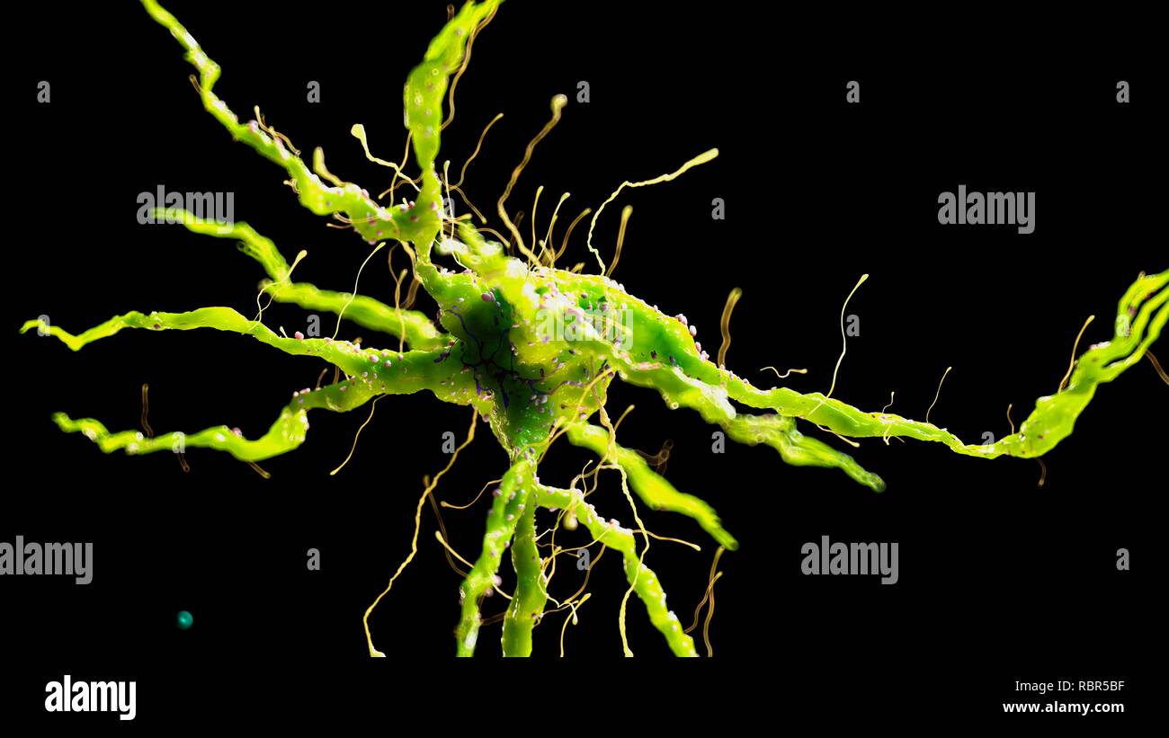 Illustration of a nerve cell Stock Photo - Alamy
