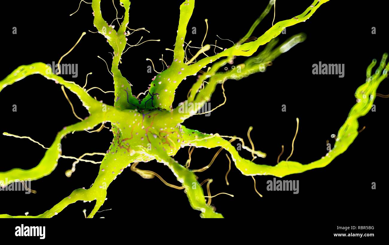 Illustration of a nerve cell Stock Photo - Alamy