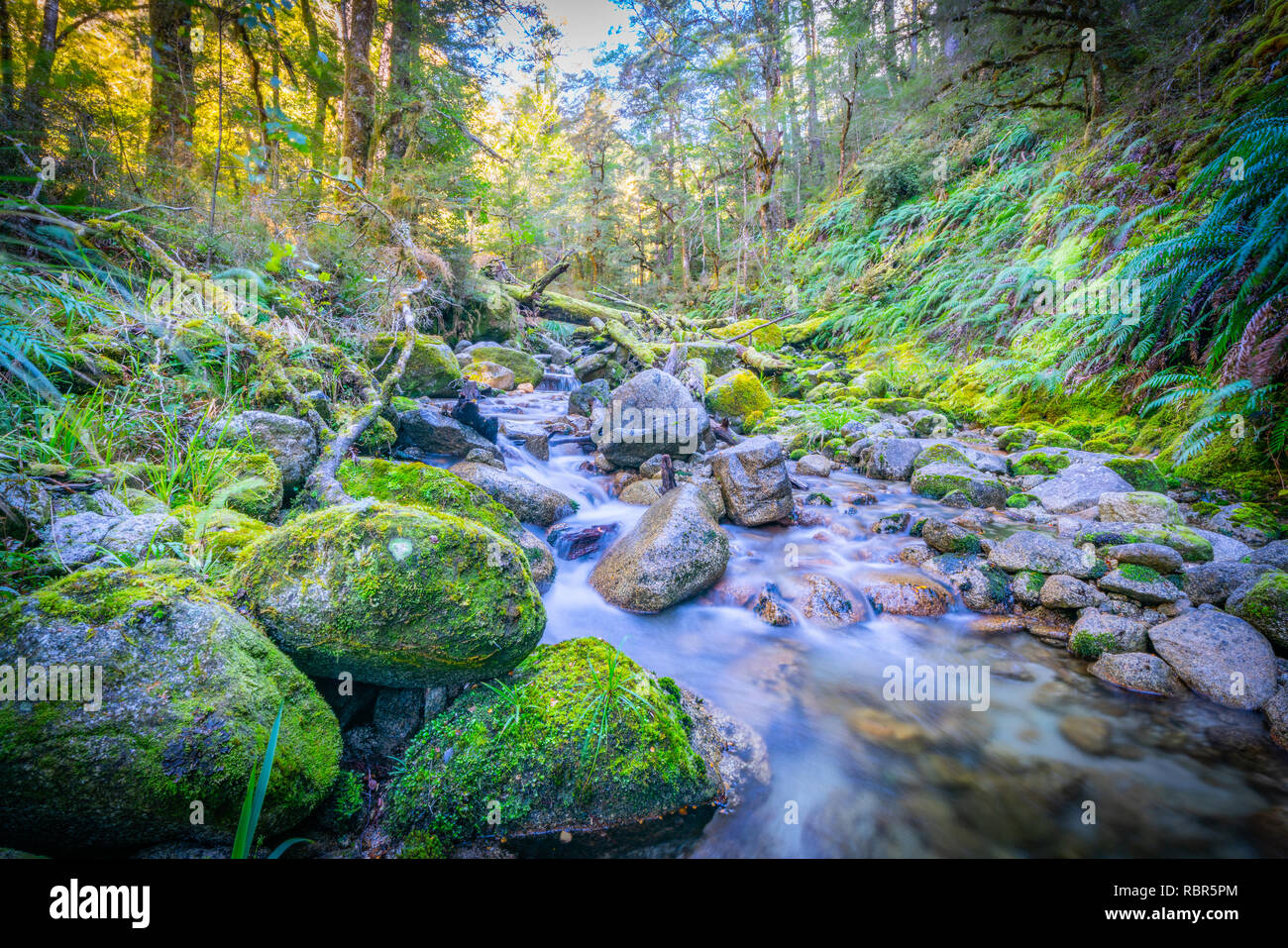 Natural fresh clean water flowing through and around granite bolders ...