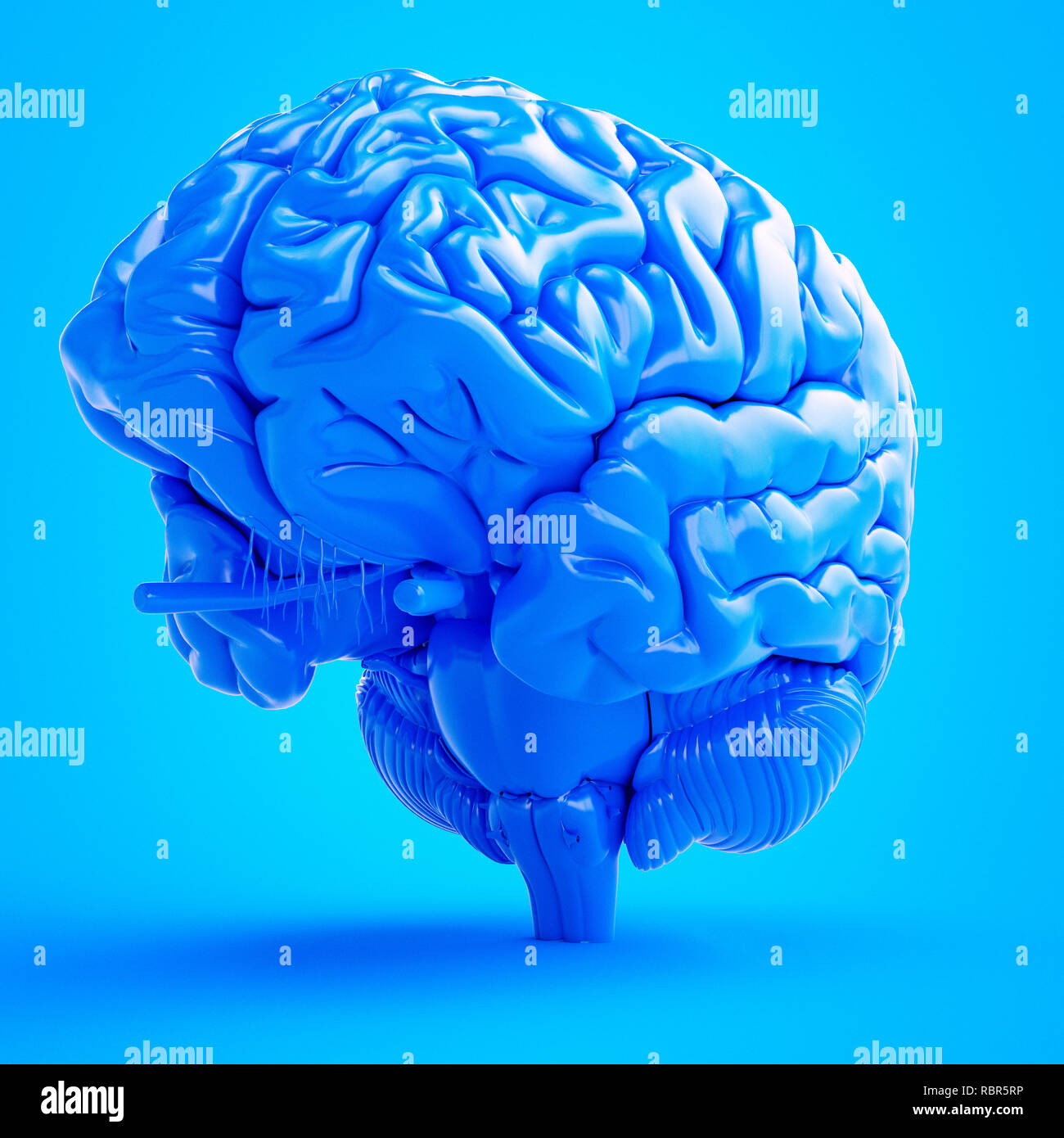 Illustration of a blue brain Stock Photo - Alamy