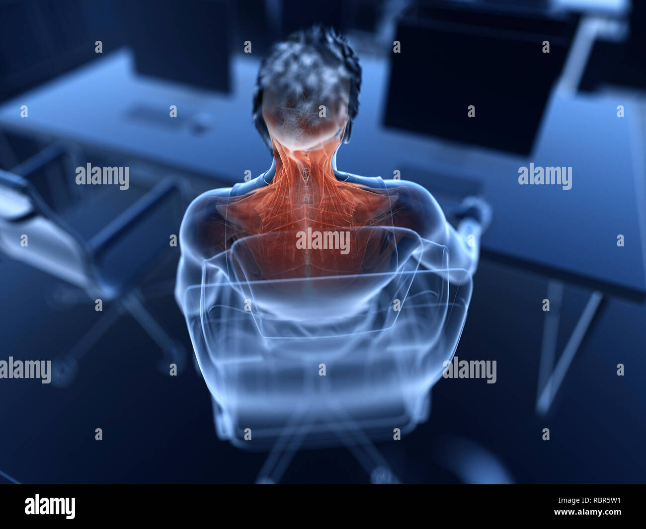 3d male anatomical position hi-res stock photography and images - Alamy