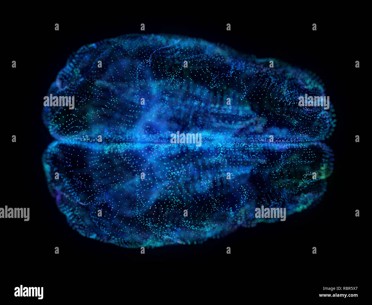 Illustration of an abstract plexus brain Stock Photo - Alamy