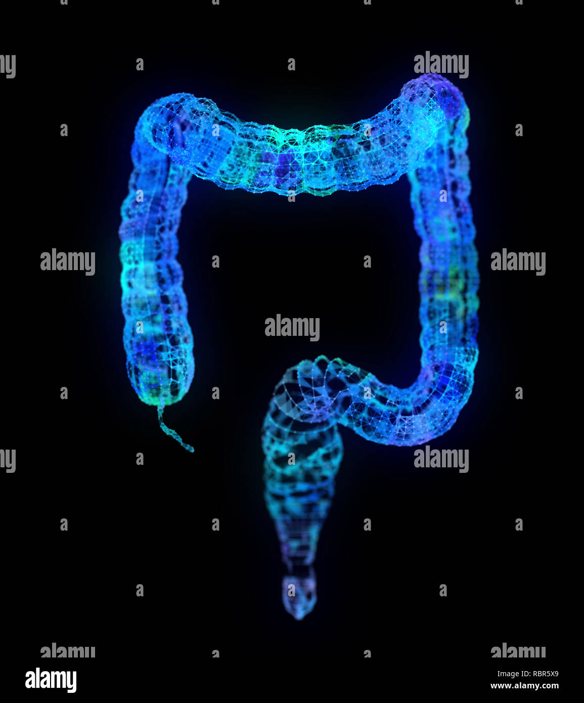 Illustration of an abstract plexus colon Stock Photo - Alamy