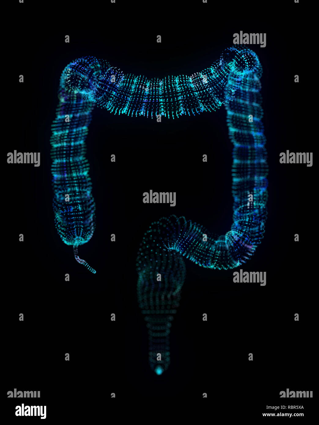 Illustration of an abstract plexus colon Stock Photo - Alamy